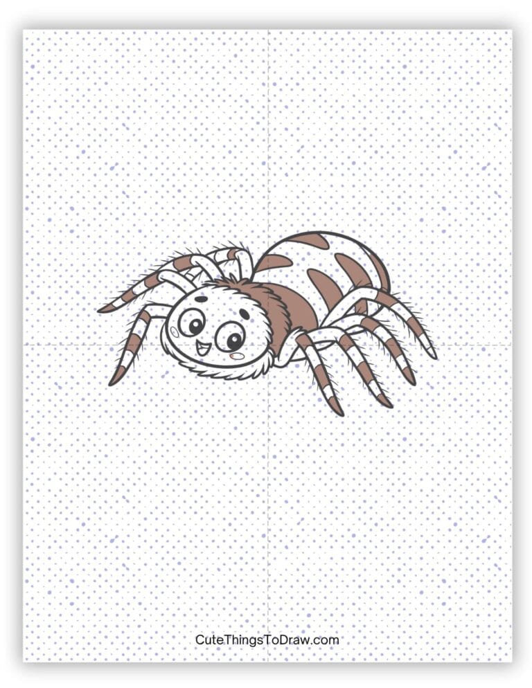 27 Cute Spider Drawing Ideas - Cute Things to Draw